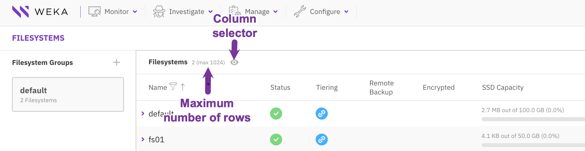 Example: Display the filesystems table