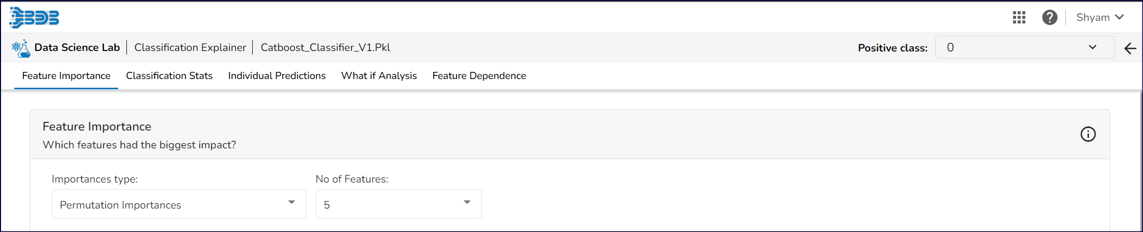Model Explainer - Data Science Lab