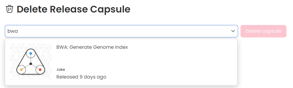 Deleting Released Capsules - Code Ocean VPC Administration Guide