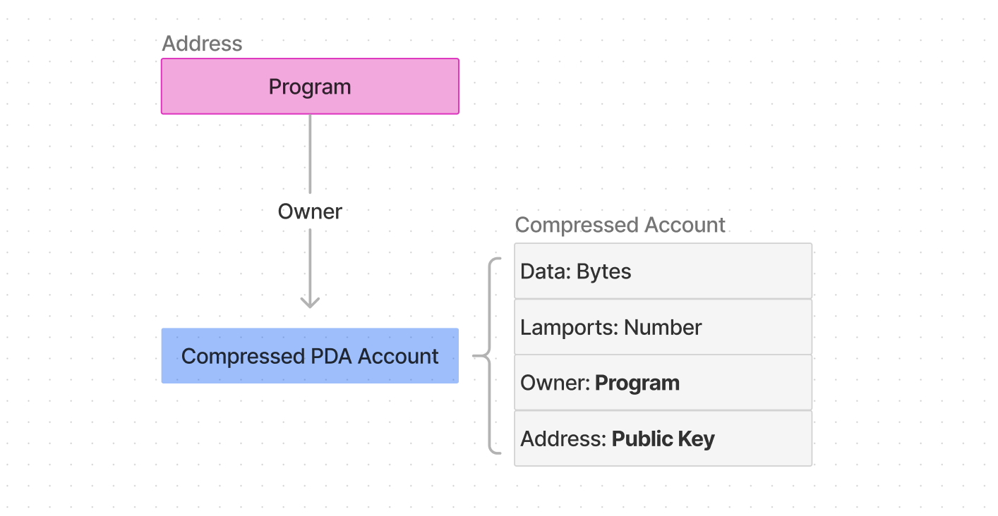 A diagram illustrating the structure of a compressed account in the ...